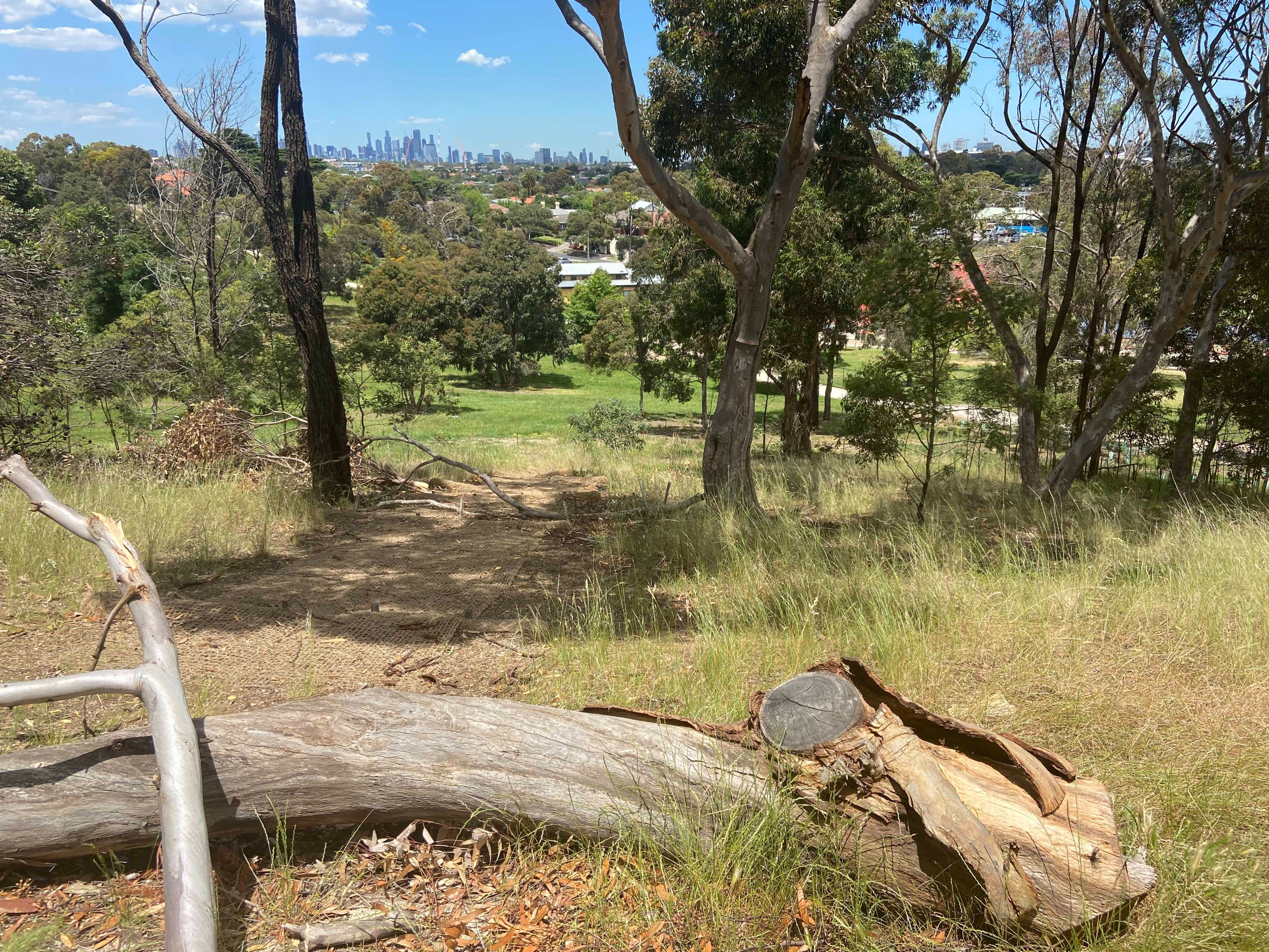 Aberfeldie Park | Your Say Moonee Valley