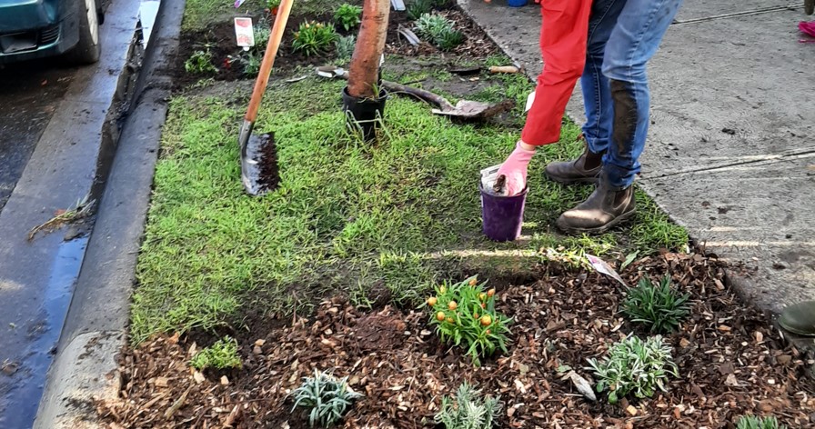 Draft Nature Strip Landscaping Guidelines | Your Say Moonee Valley